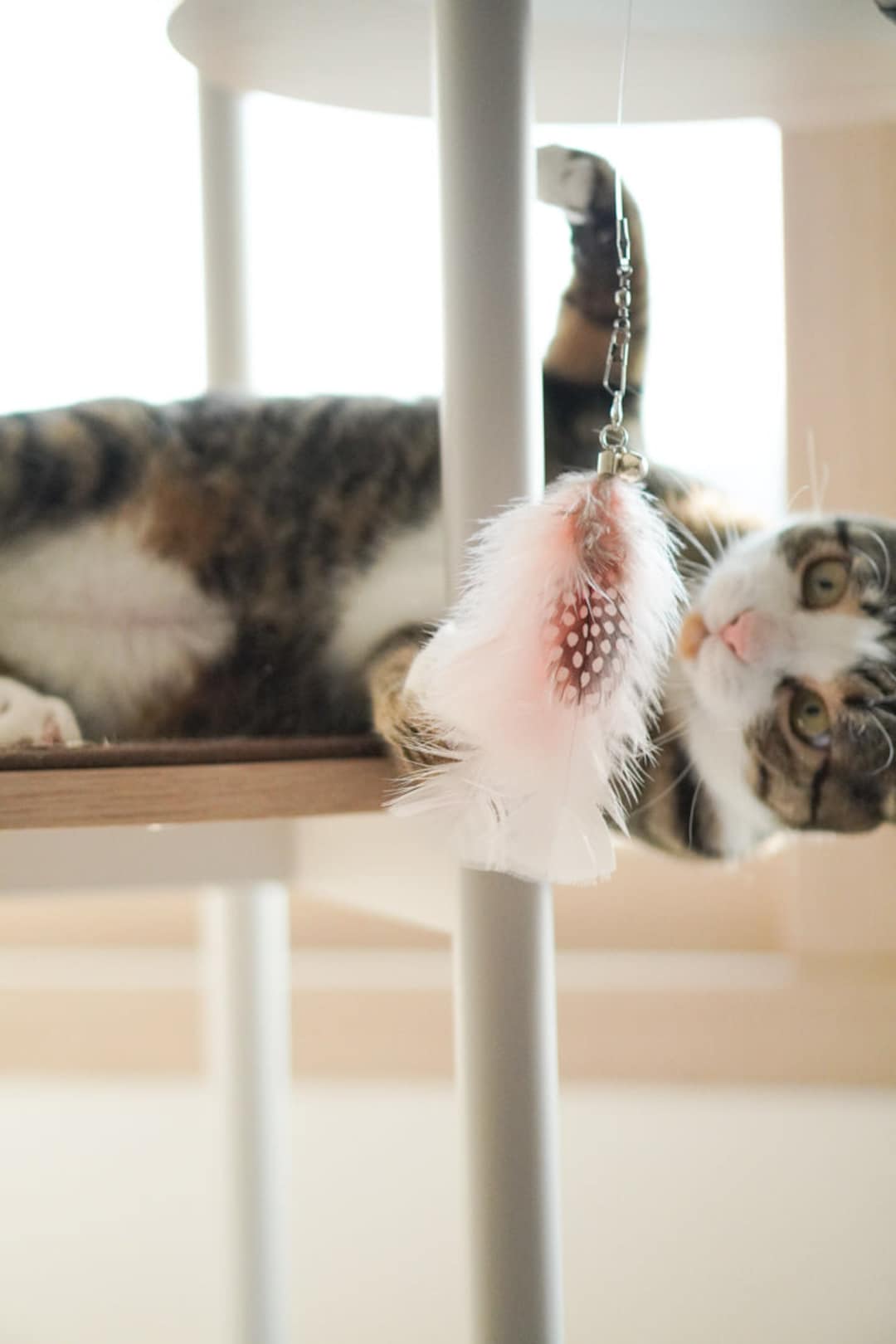 Cat Toys Interactive, Tickle Pickle Feather Teaser by Ocatnip, Cat Gift ...