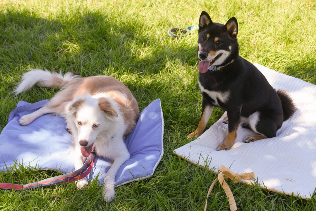 Blueberry Roll-up Dog Bed - Etsy