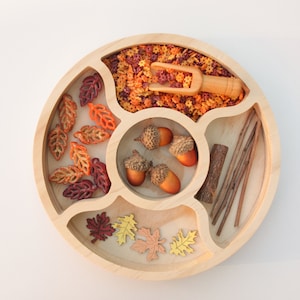 Fall Leaves Sensory Bin Filler, Imaginative Play, Autumn Activity for ...