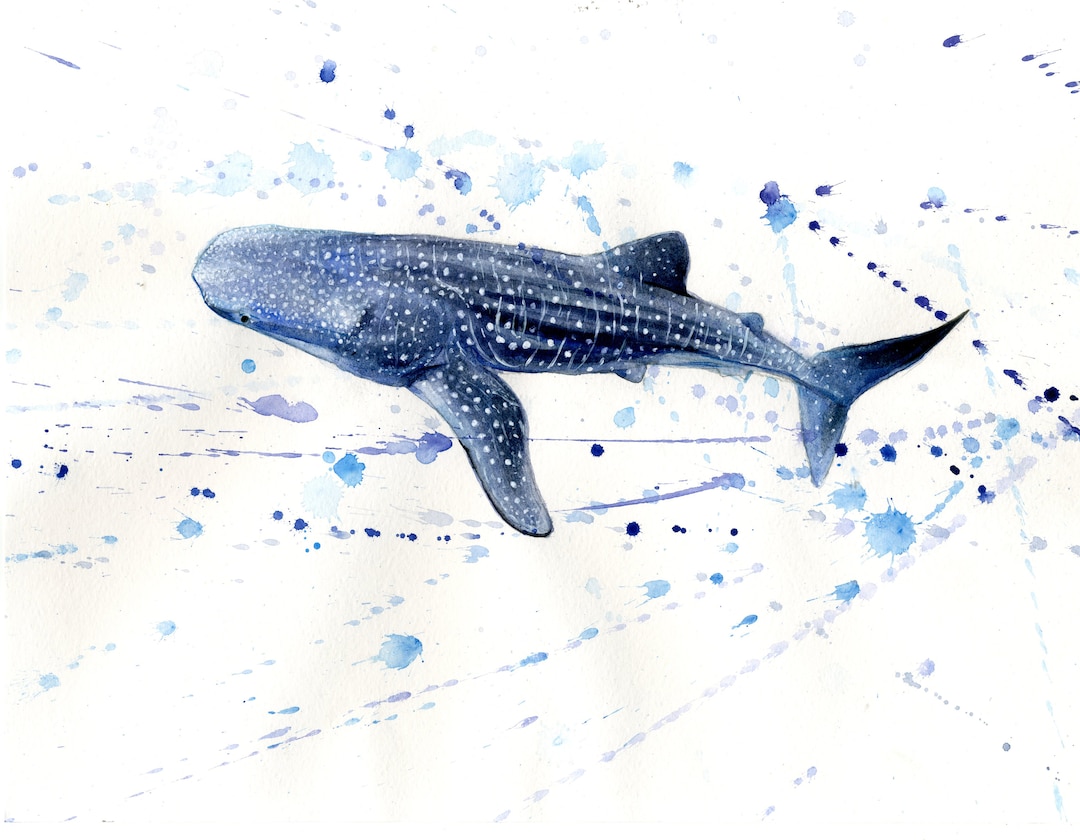 Original Blue Whale Shark Watercolor Painting Original Handmade ...