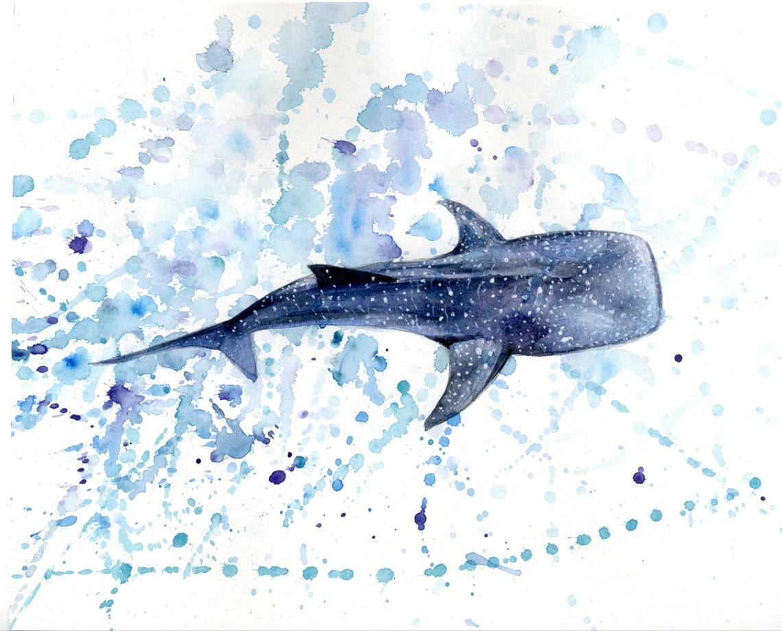 Original Watercolor Painting Blue Whale Shark Original Handmade ...
