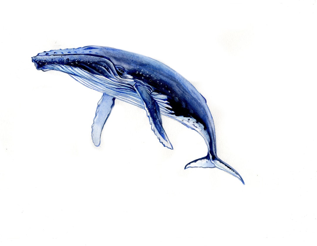 Humpback Blue Whale Original Watercolor Painting Ocean Whale Painting ...
