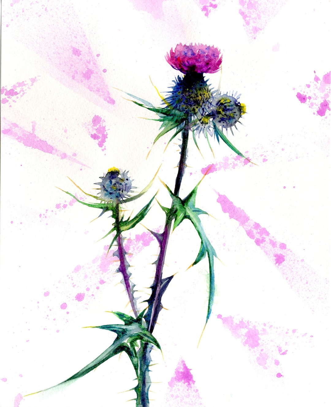 Digital Download Original Thistle Watercolor Painting Pink Flowers Home ...