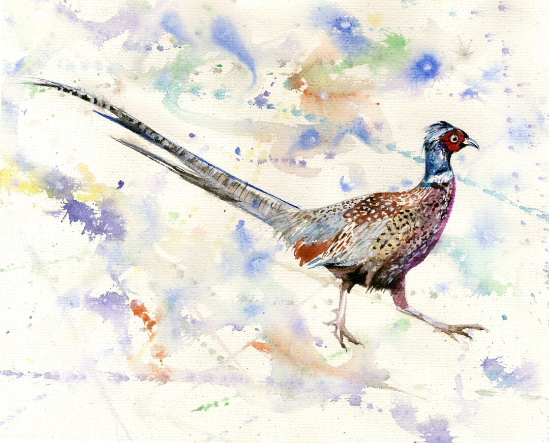 Original Watercolor Pheasant Painting Birds Watercolor Painting ...