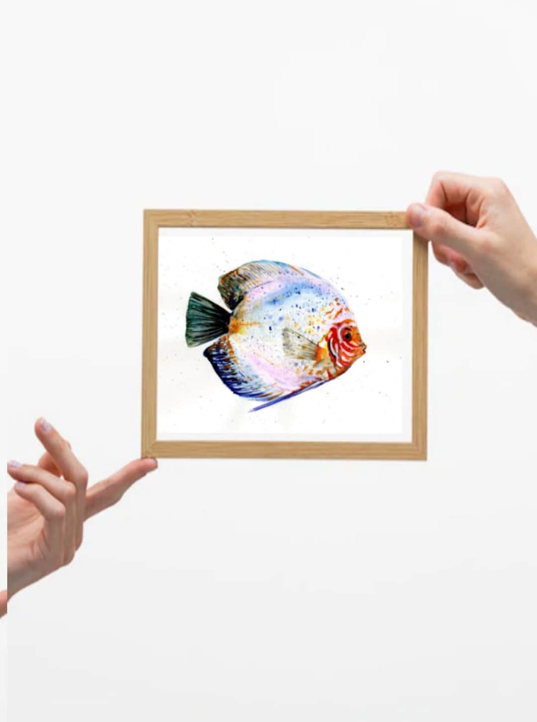 Discus Fish Original Watercolor Painting Home Decor Art Illustration ...