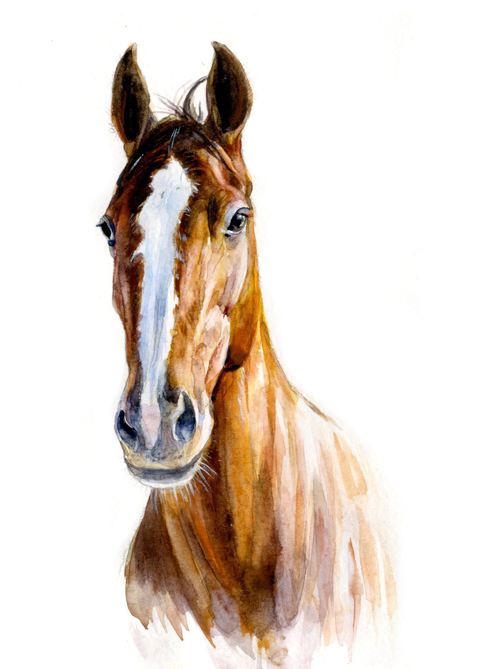 Custom HORSE Portrait Custom Horse Painting Pet Los Gift Pet Memorial ...