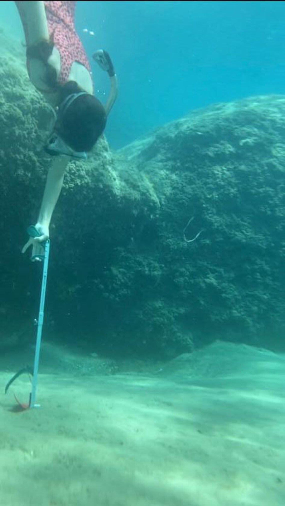 The Beach Clean Kit - Etsy