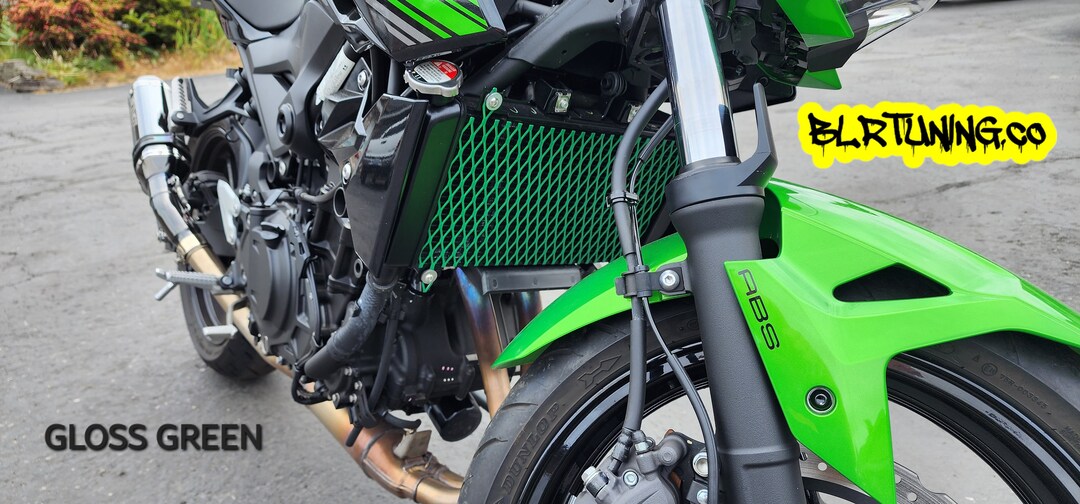 KAWASAKI Z400 & NINJA 400 Radiator Protective Grill - Etsy