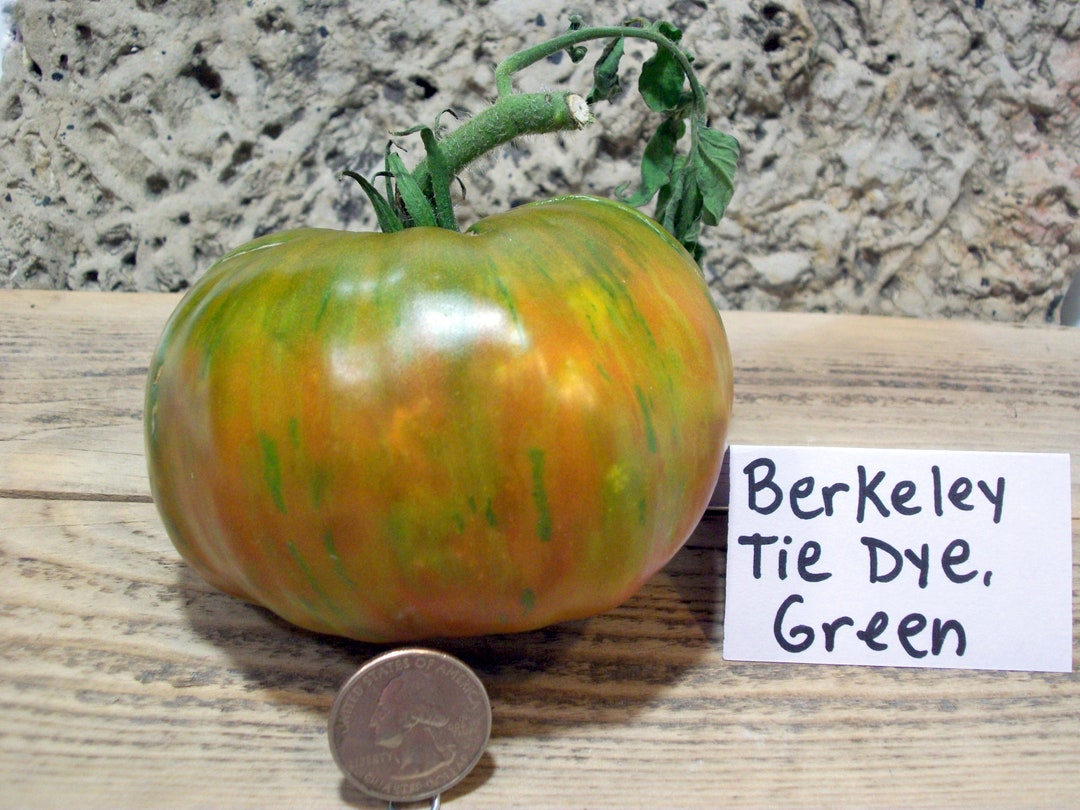 Berkeley Tie Dye Green Tomato Seeds - Etsy