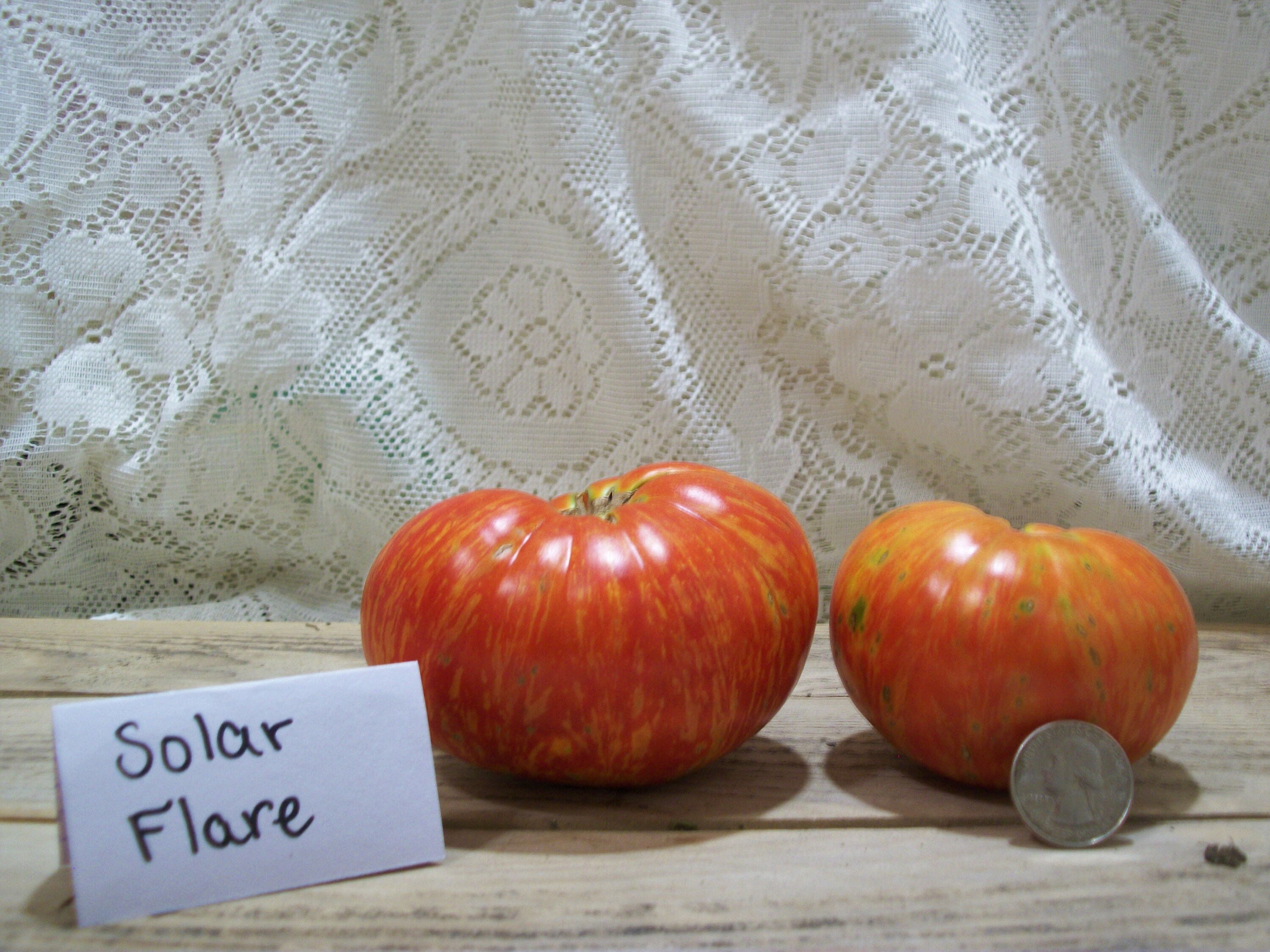 Solar Flare Tomato Seeds - Etsy