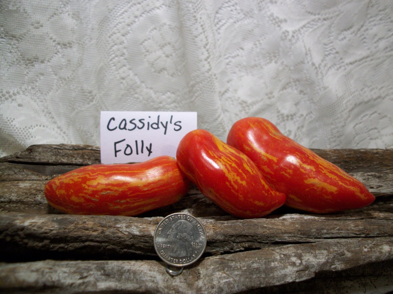 Cassidy's Folly Tomato Seeds casady's Folly - Etsy