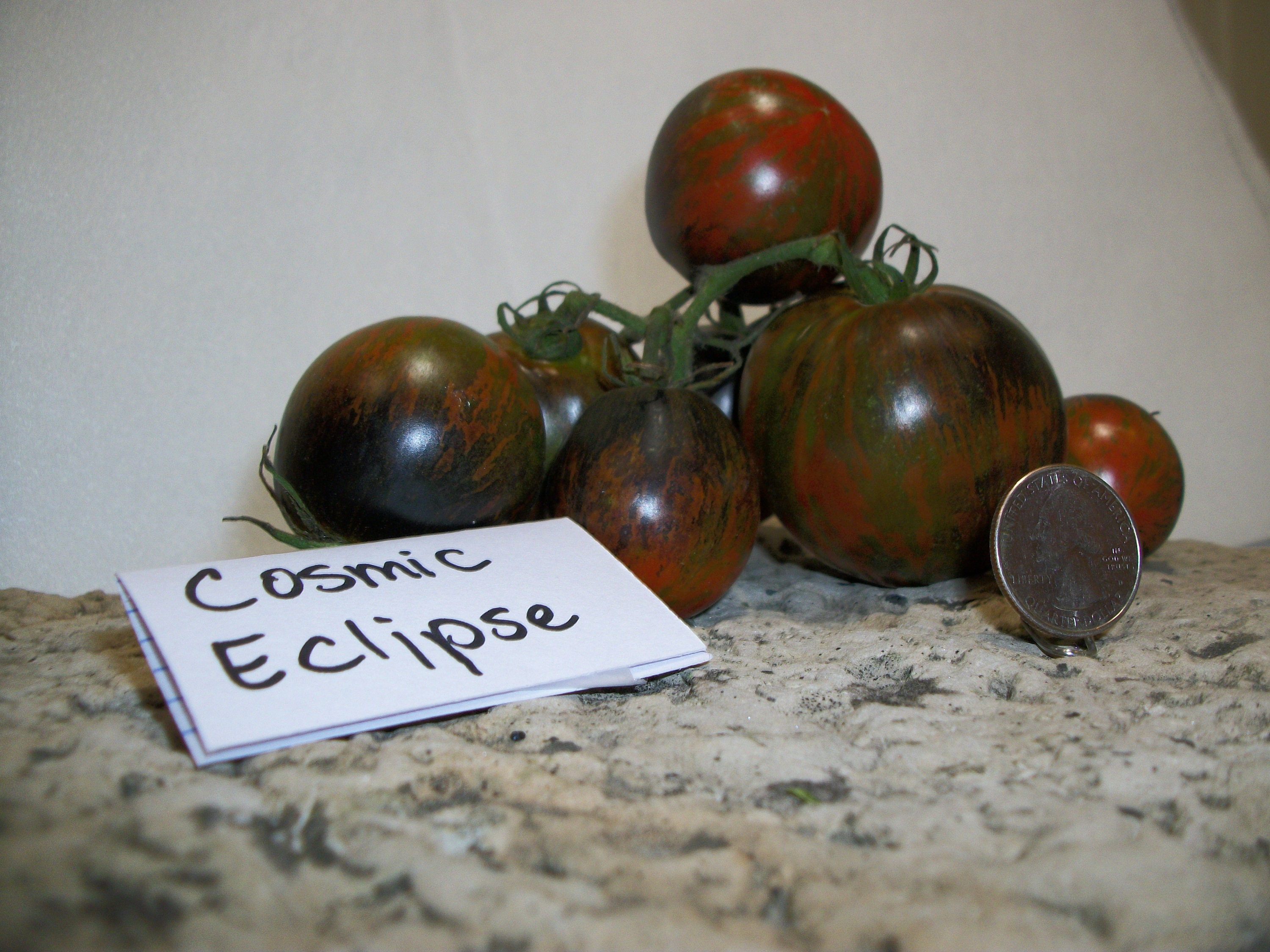 Cosmic Eclipse Tomato Seeds - Etsy