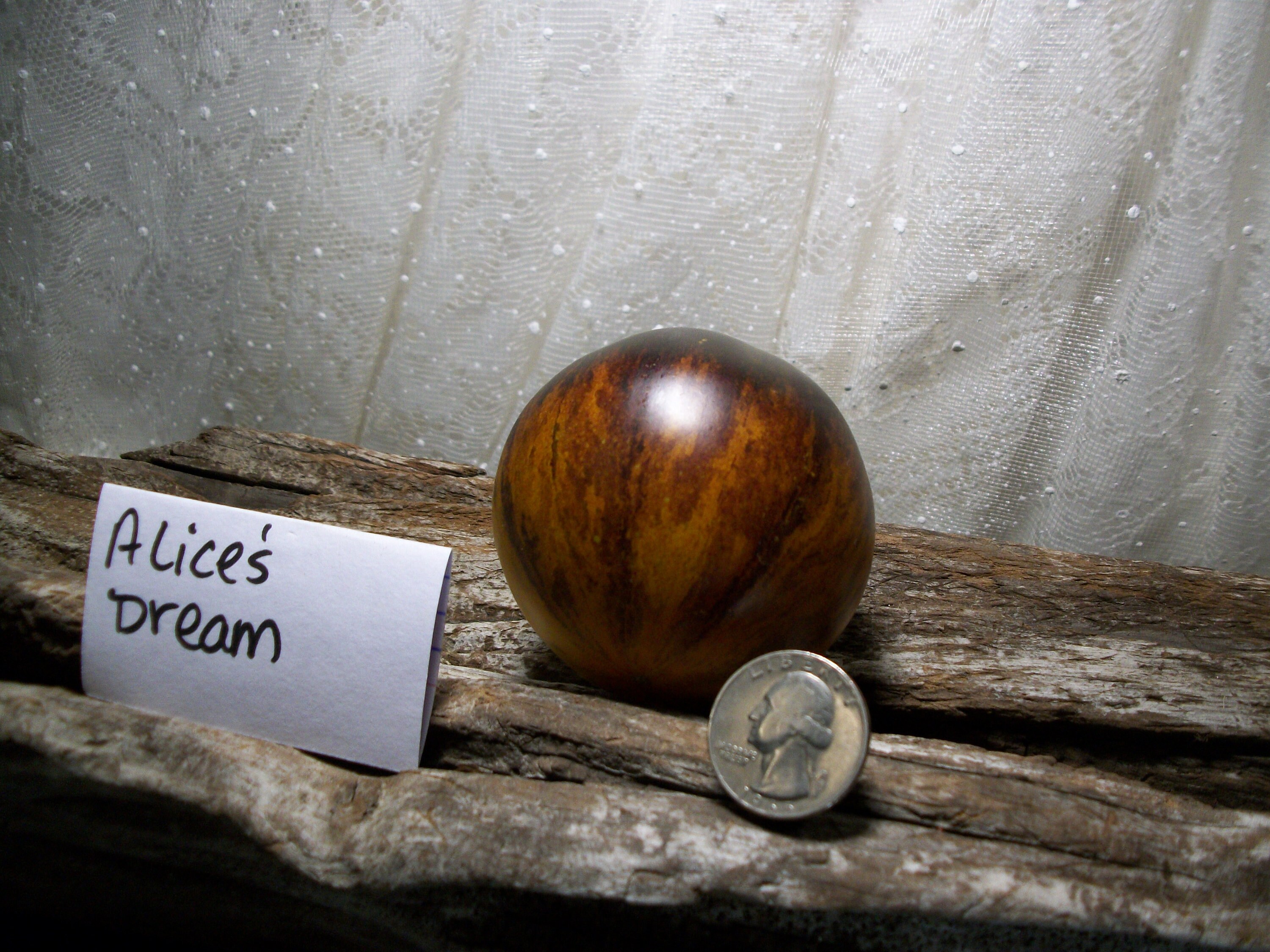 Alice's Dream Tomato Seeds - Etsy