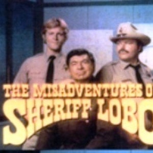 Misadventures of Sheriff Lobo COMPLETE 9-disc Set - Etsy