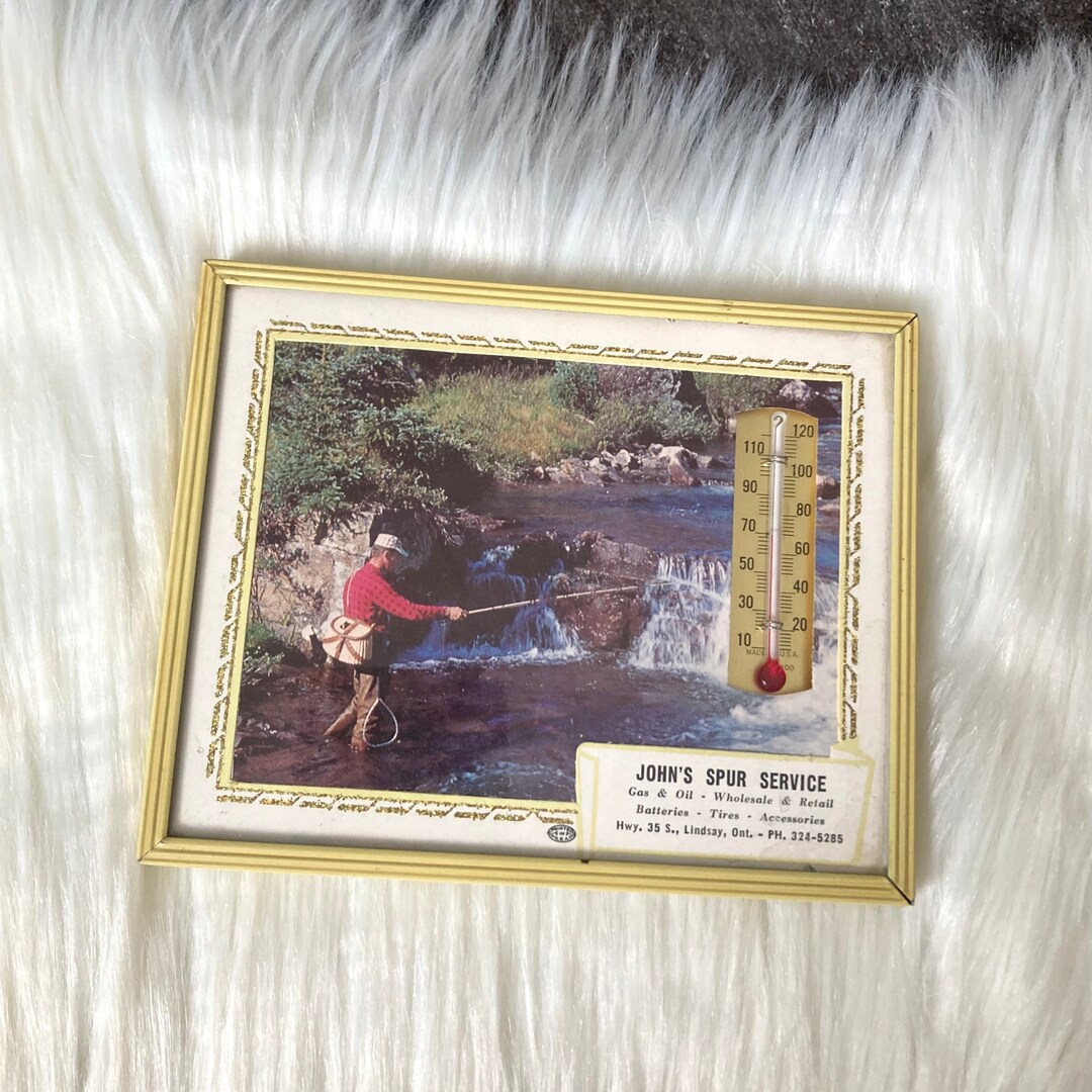 60s Vintage Framed Thermometer Keepsake Business Giveaway Kitsch ...