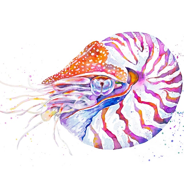 Nautilus Art - Etsy