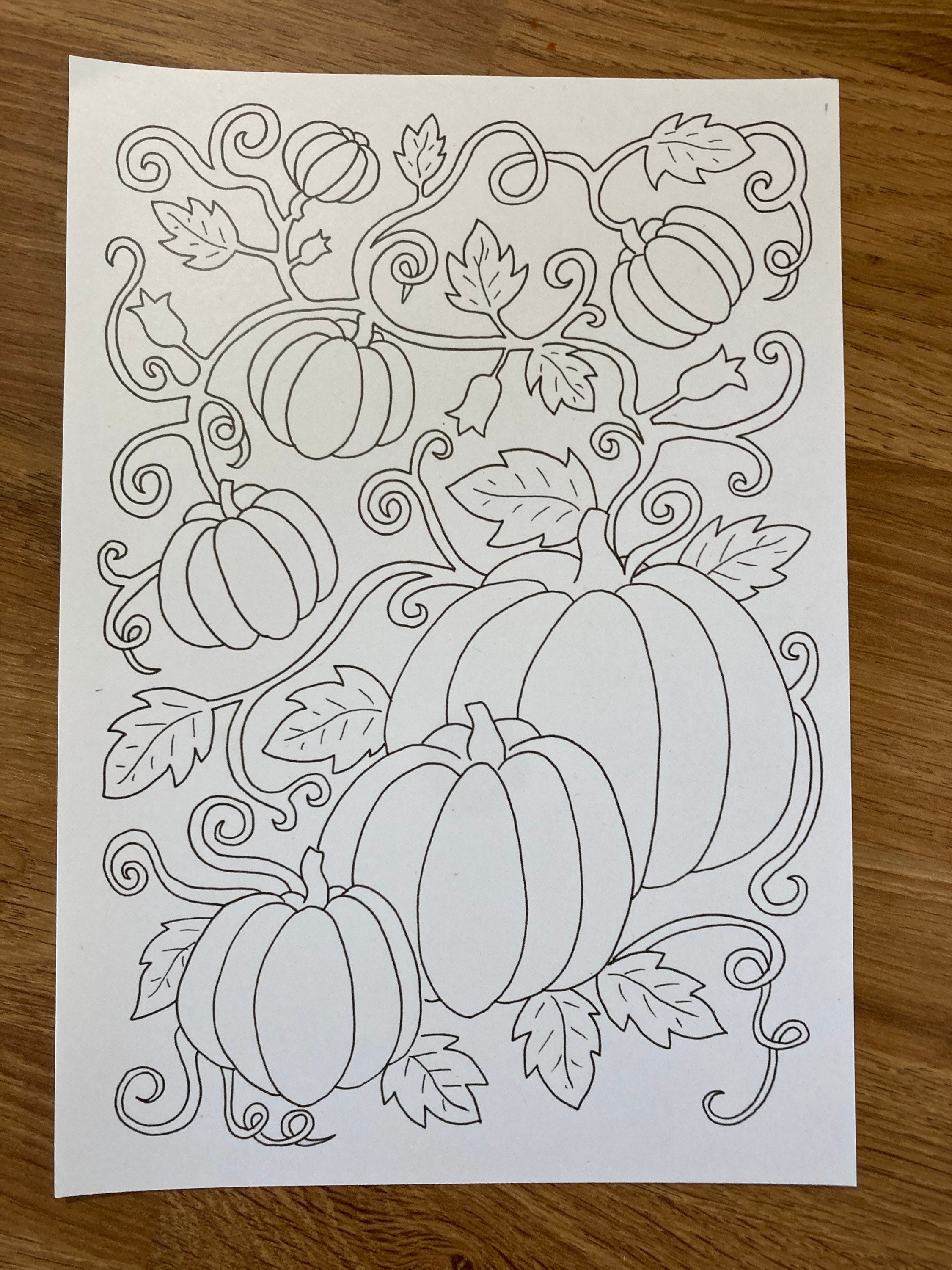 6 Cosy Colouring Sheets Autumn Colouring Fall Colouring - Etsy UK