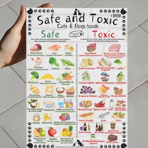 Safe and Toxic Foods for Dogs and Cats PRINTABLE Essential Pet Health ...
