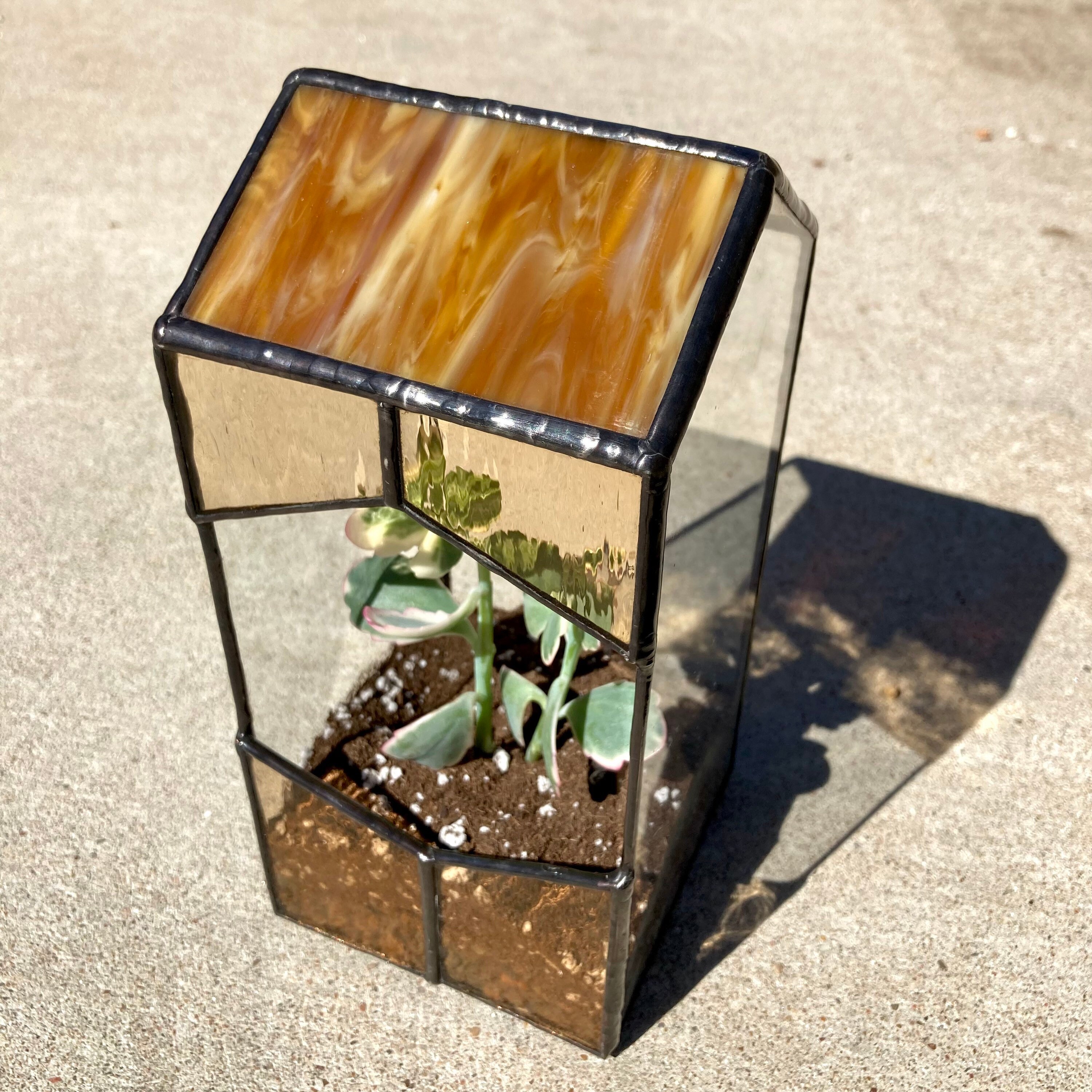 Succulent Cactus Terrarium, Vivarium, Mini Greenhouse for Desk Top - Etsy