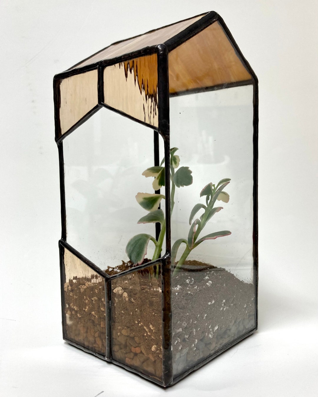 Succulent Cactus Terrarium, Vivarium, Mini Greenhouse for Desk Top - Etsy