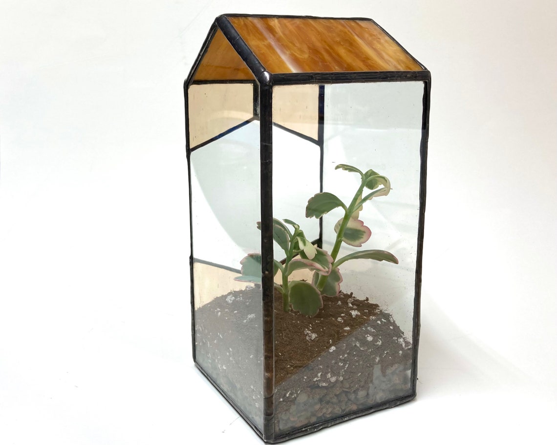 Succulent Cactus Terrarium Vivarium Mini Greenhouse for Desk - Etsy