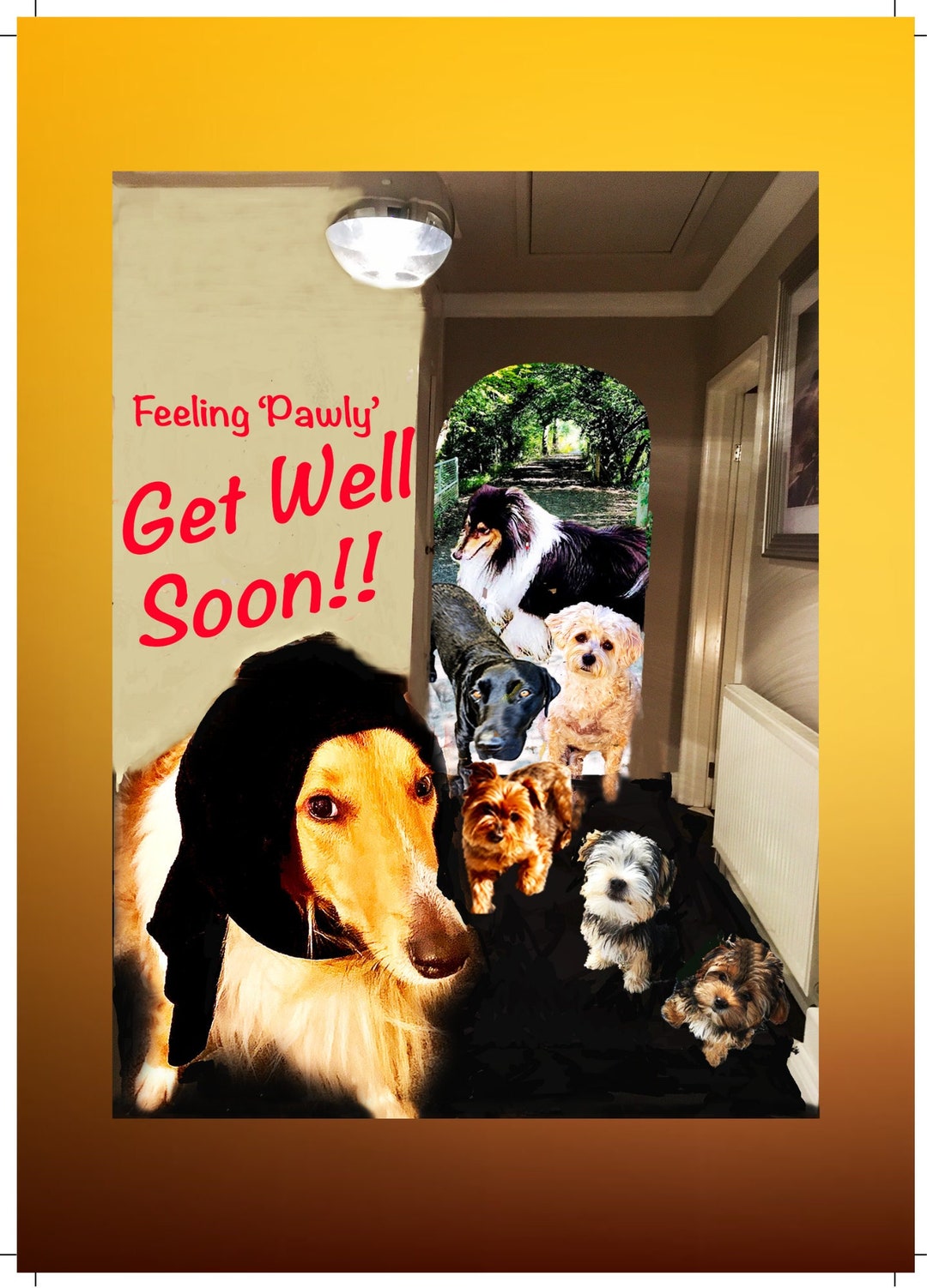 Get Well Dogs Wishes - Etsy
