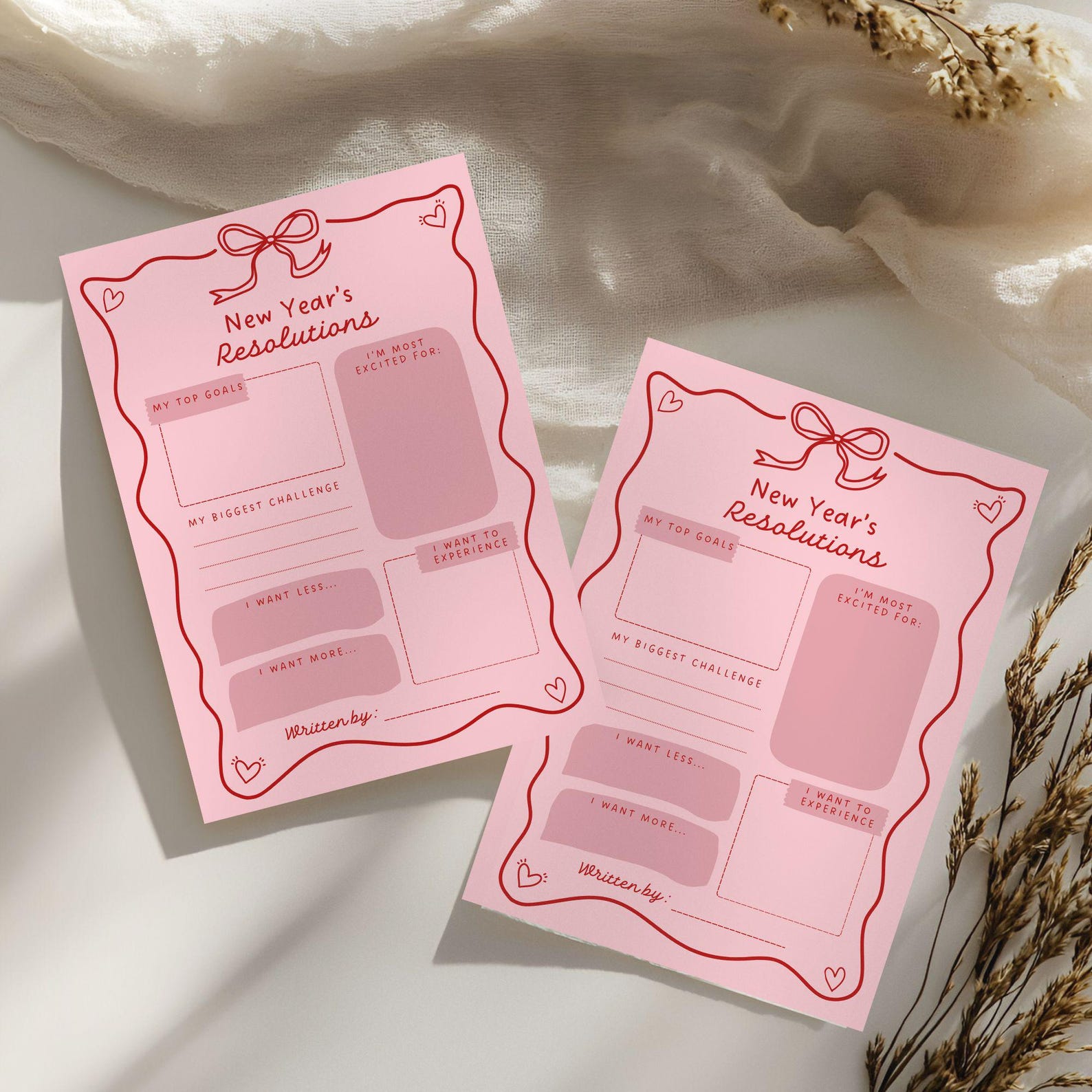 2025 Resolutions Card Template, Printable Coquette Goal Setting ...
