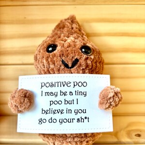 Positive Poop! Poop Plushie! Encouraging Poop! - Etsy