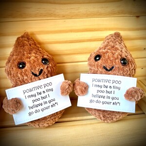 Positive Poop! Poop Plushie! Encouraging Poop! - Etsy