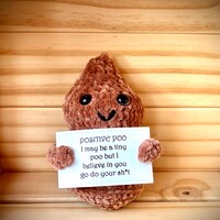 Funny Crochet Poo With Sunflower,positive Poo,emotional Support Plant ...