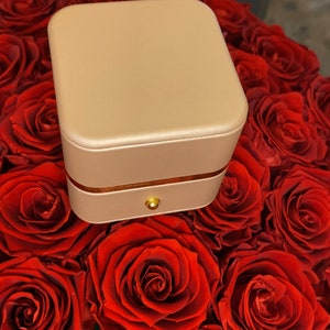 Opulentsy Golden Jewelry Box Premium Leather Jewelry Gift Box for ...