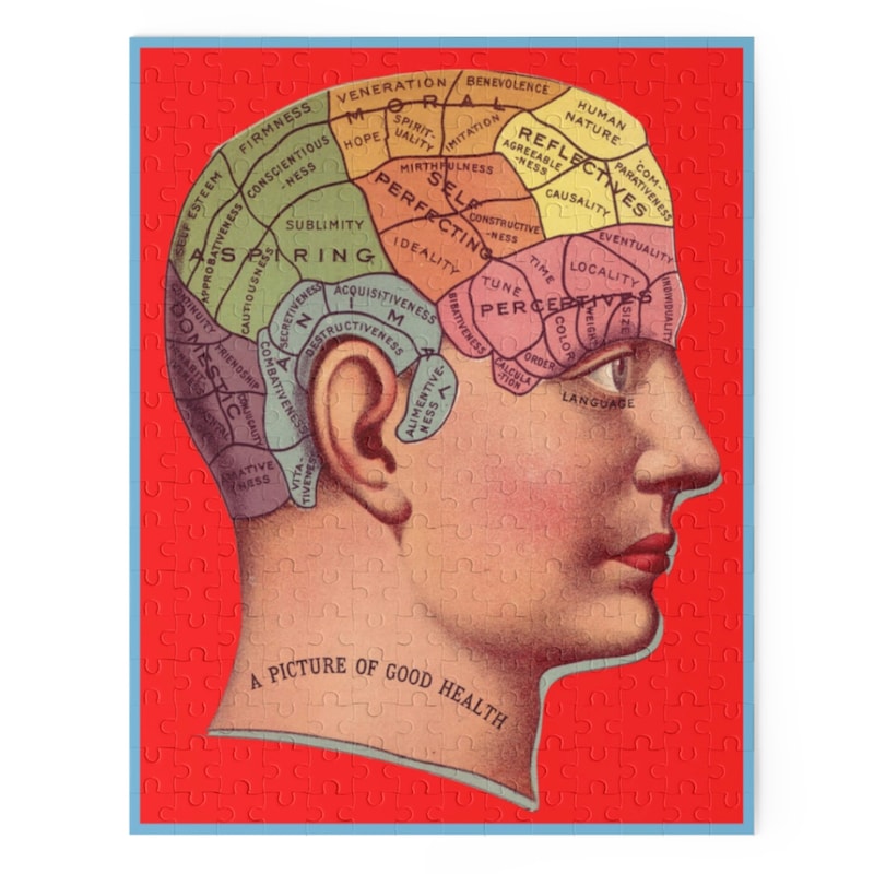 Phrenology Head - Etsy