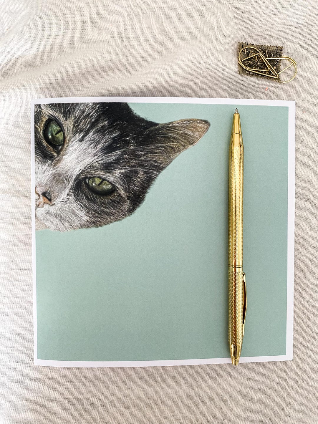Cat Card design 10 Special Occasion Blank Card Hand Drawn Animal ...
