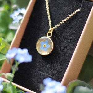 Genuine Forget-me-not Necklace Mounted on an Adjustable Gold-plated ...