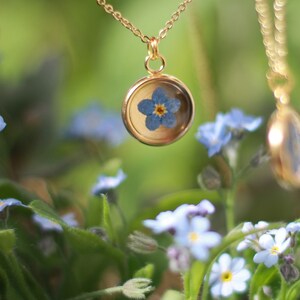 Genuine Forget-me-not Necklace Mounted on an Adjustable Gold-plated ...