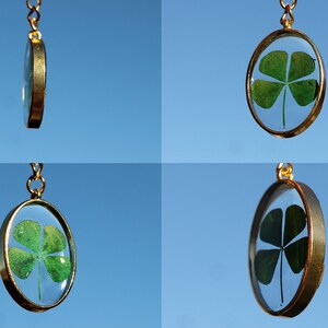 Porte clefs trèfle à quatre feuilles / Véritable porte bonheur / Cadeau ...