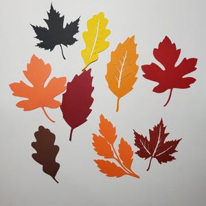 9 Pack of Fall Color Die Cut Leaves, Multiple Sizes, Cardstock Leaf ...