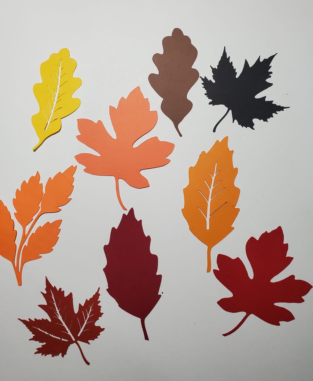 9 Pack of Fall Color Die Cut Leaves, Multiple Sizes, Cardstock Leaf ...