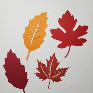 9 Pack of Fall Color Die Cut Leaves, Multiple Sizes, Cardstock Leaf ...