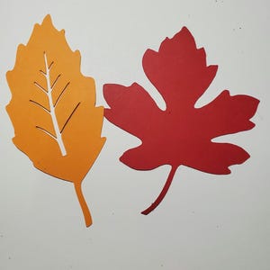 9 Pack of Fall Color Die Cut Leaves, Multiple Sizes, Cardstock Leaf ...