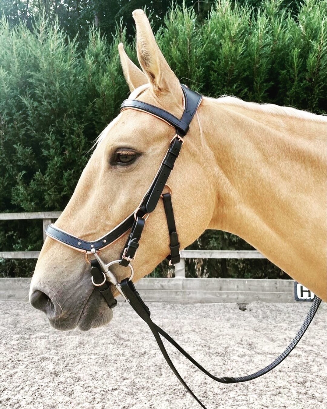 Rosegold Snaffle Multibridle Bit & Bitless With Dimante Black Leather ...