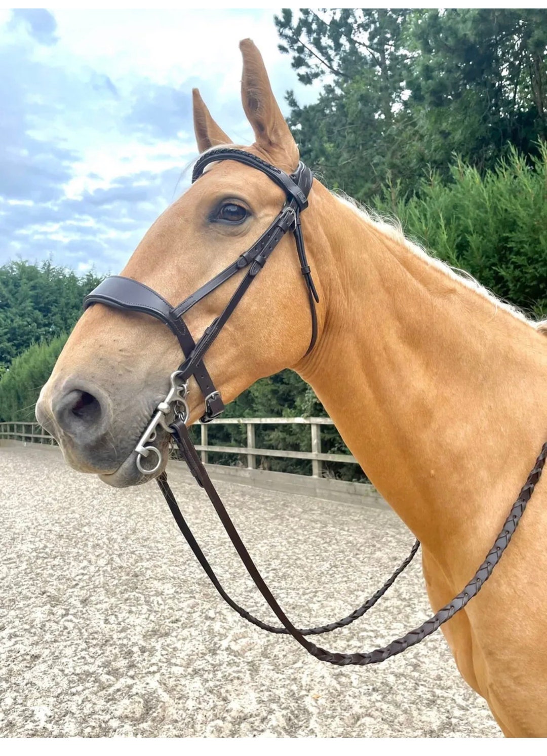 Anatomical Working Hunter Leather Bridle Cavesson Padded - Etsy
