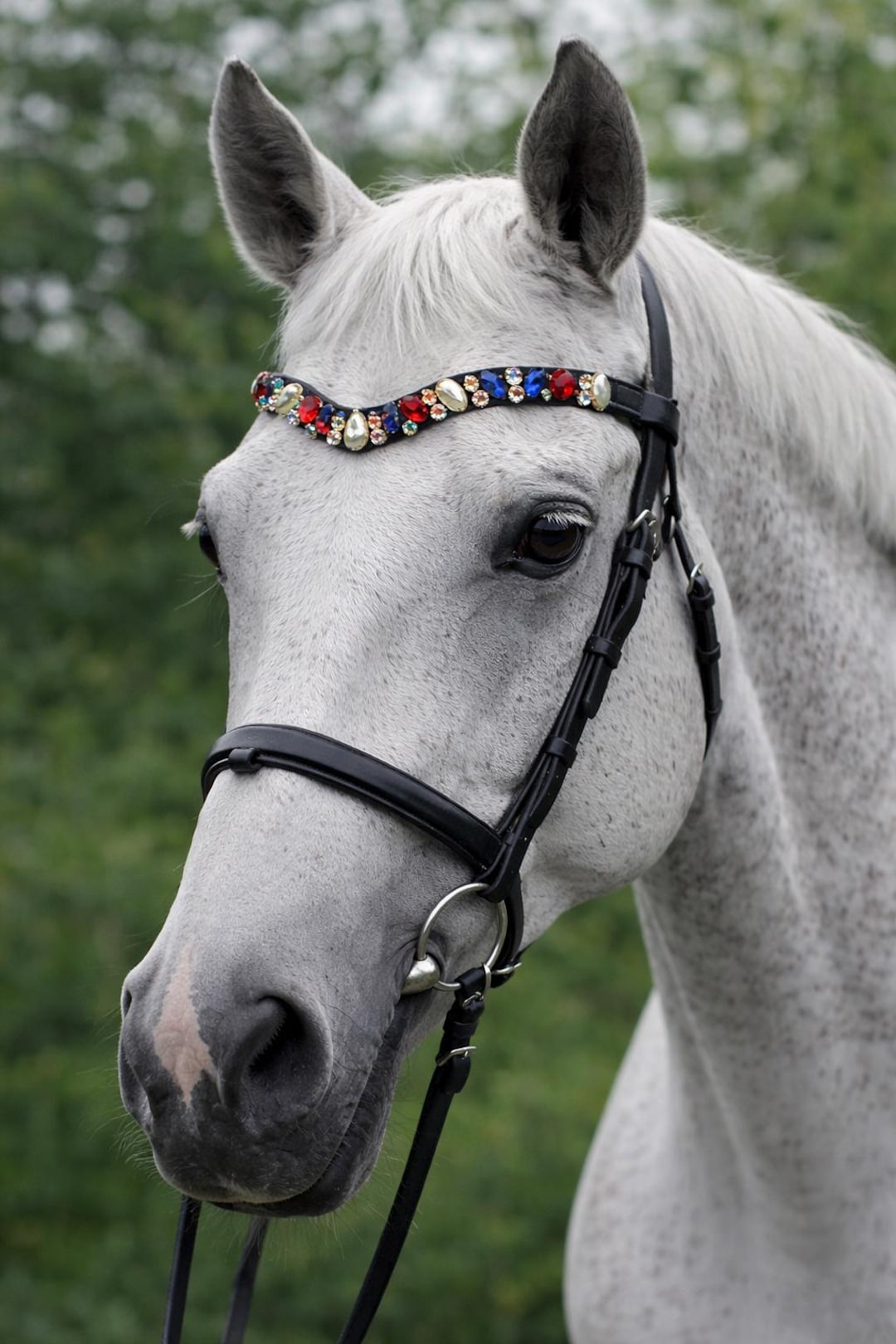 Pearl & Multicolour Gem Stone Crystal V-shape Beaded Browband, Black ...