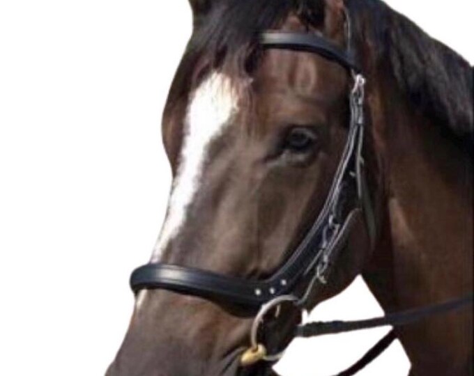 Anatomical Bridle Verity Bit Lifter for Mouthy / Sensitive Horse ...