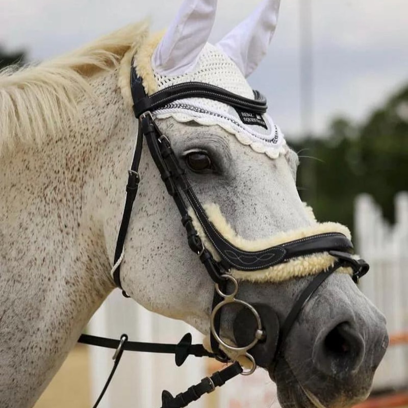 Medieval Horse Tack - Etsy