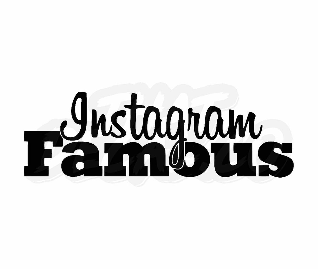 Instagram Famous Vinyl Decal Stickers Adult, Funny, 18, Rude, Van Truck ...