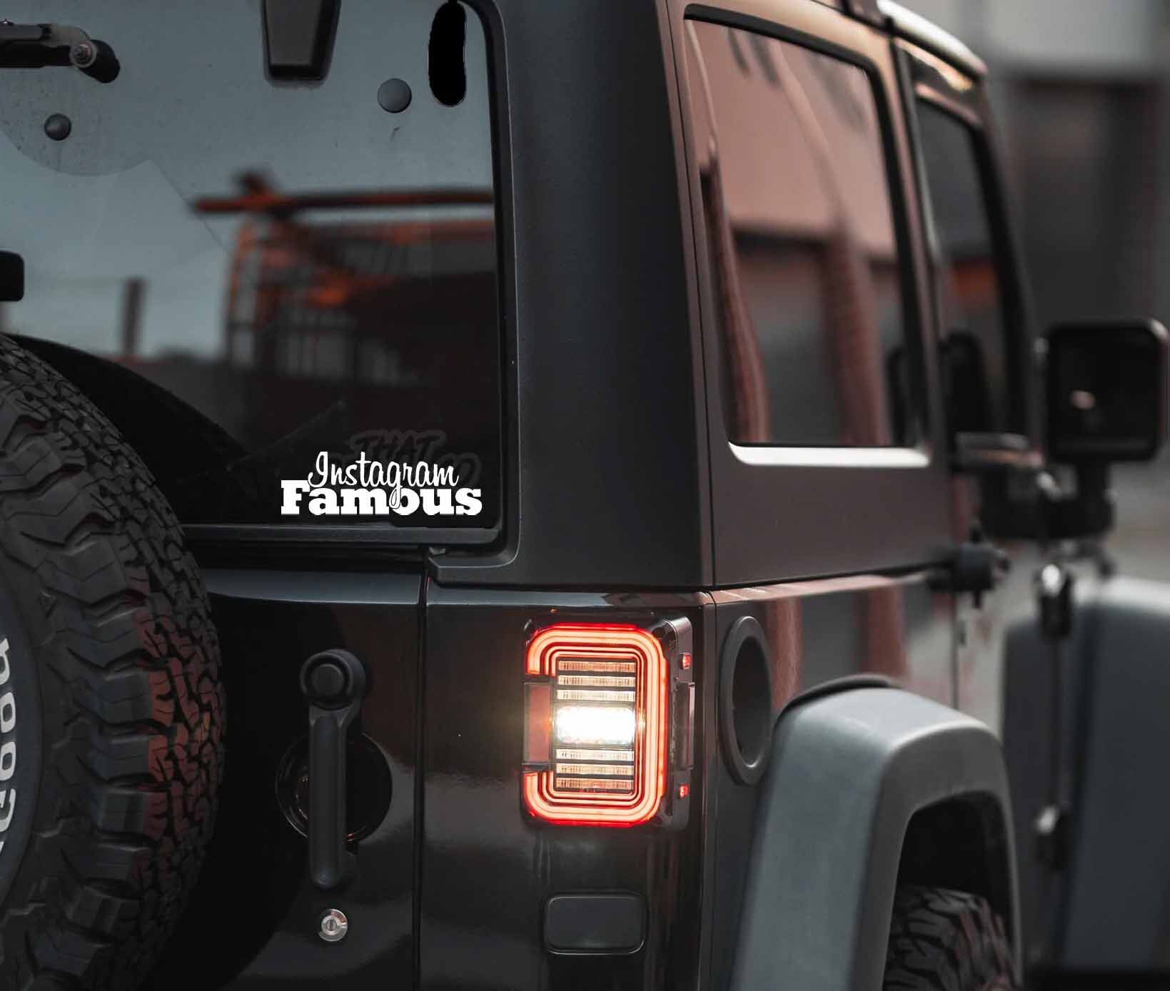 Instagram Famous Vinyl Decal Stickers Adult Funny 18 Rude - Etsy