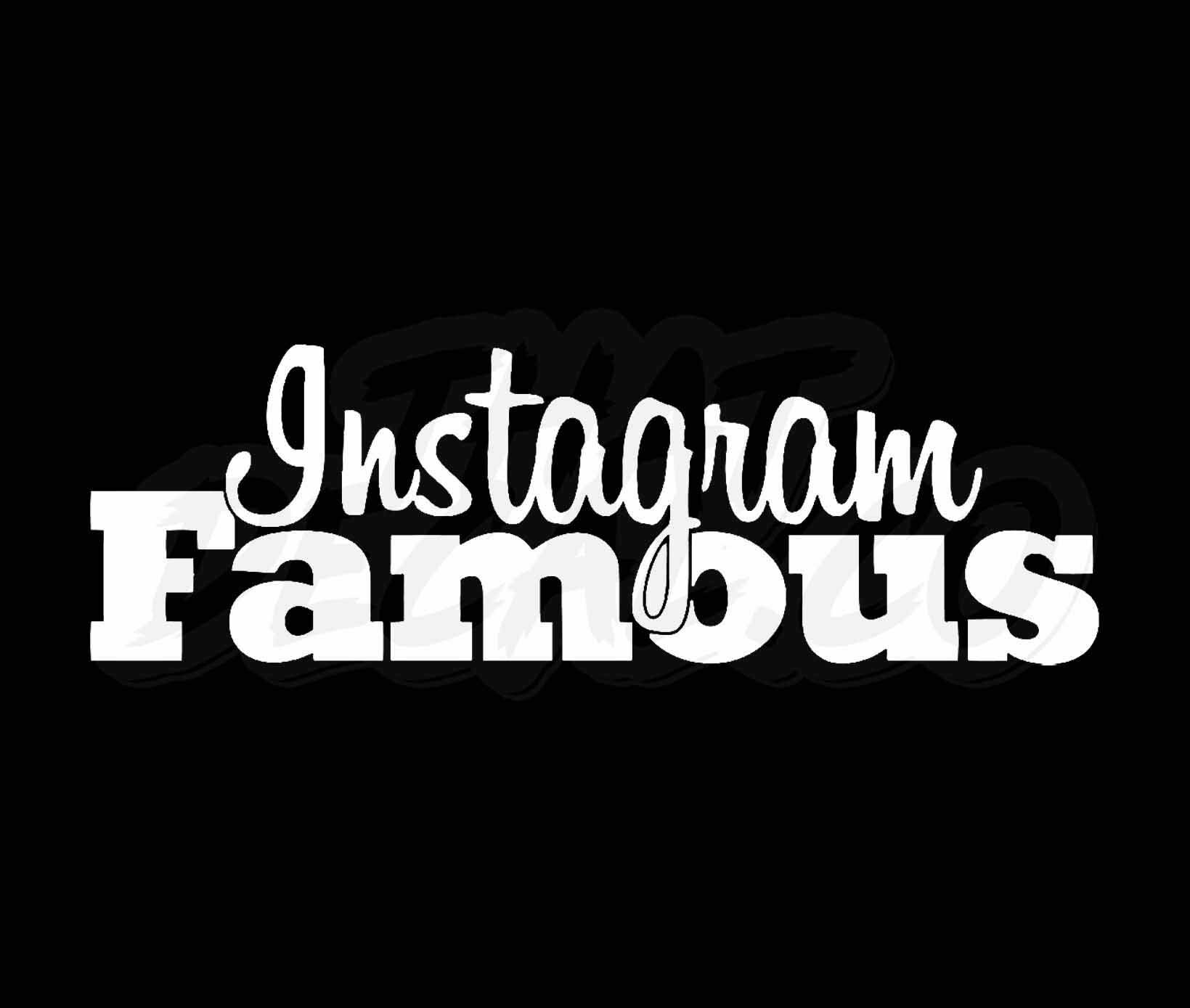Instagram Famous Vinyl Decal Stickers Adult Funny 18 Rude - Etsy