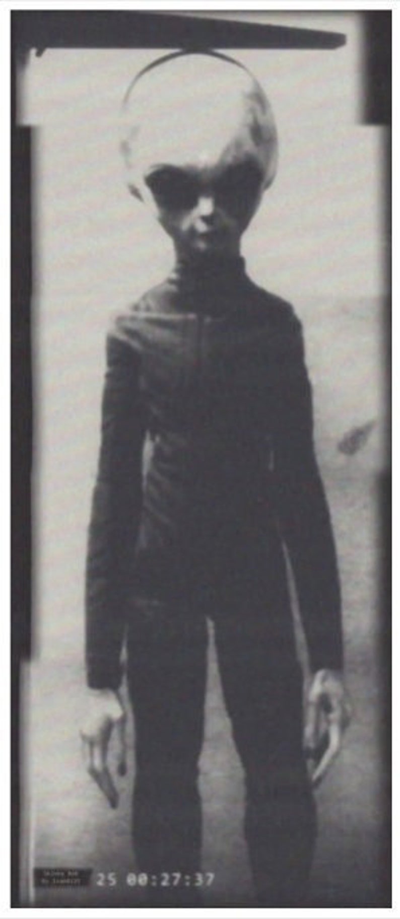 Standing Skinny Bob Poster From Ivan0135. Alien Art Print. Area 51 ...