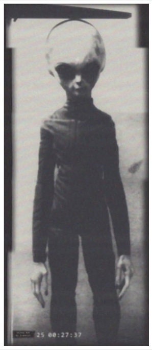 Skinny Bob Alien Poster Print - Etsy